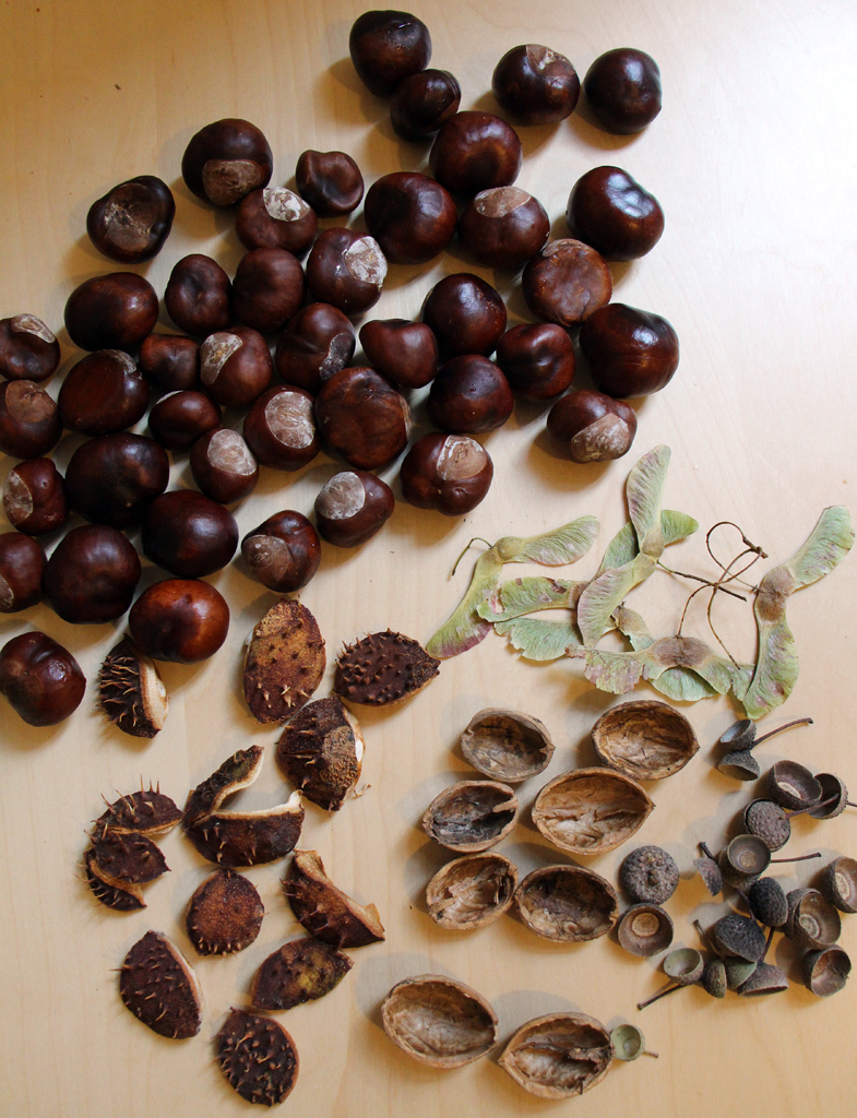 Autumn Crafts: Chestnut Creatures – The Bear & The Fox