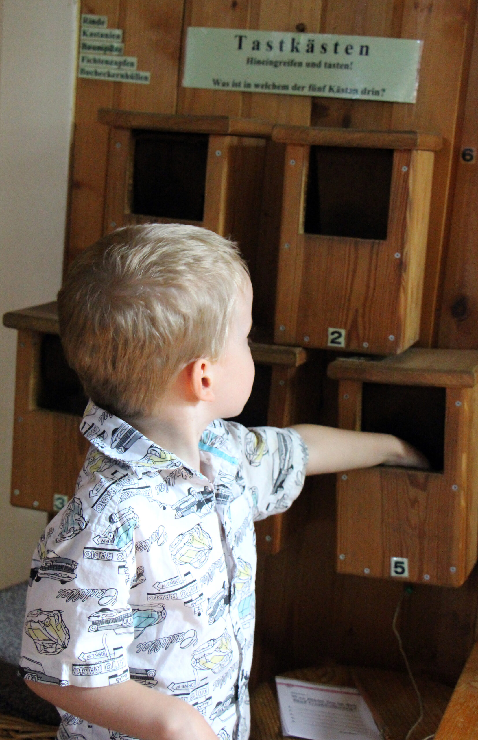Berlin Waldmuseum Forest Museum feely boxes – The Bear & The Fox