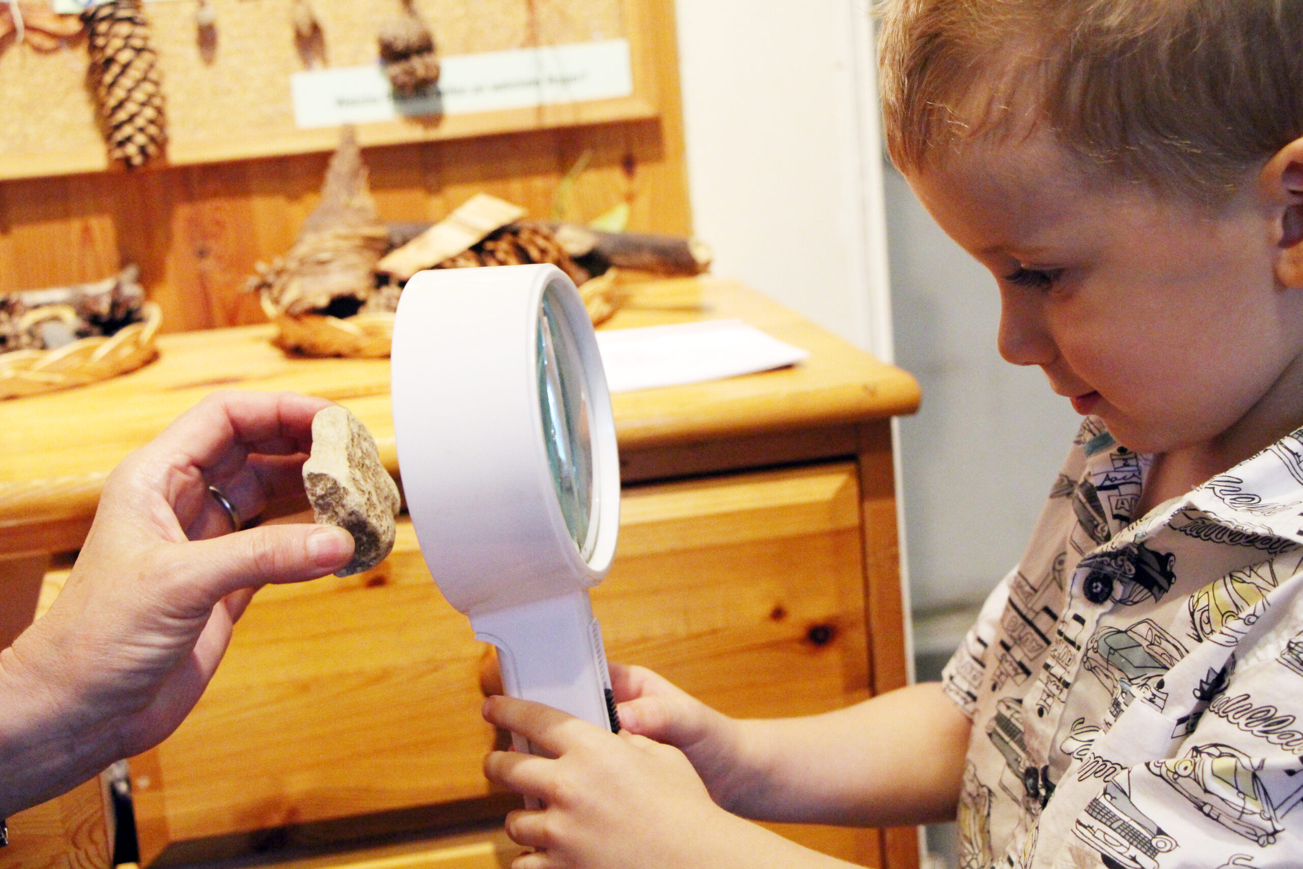 Berlin Waldmuseum Forest Museum magnifying glass – The Bear & The Fox