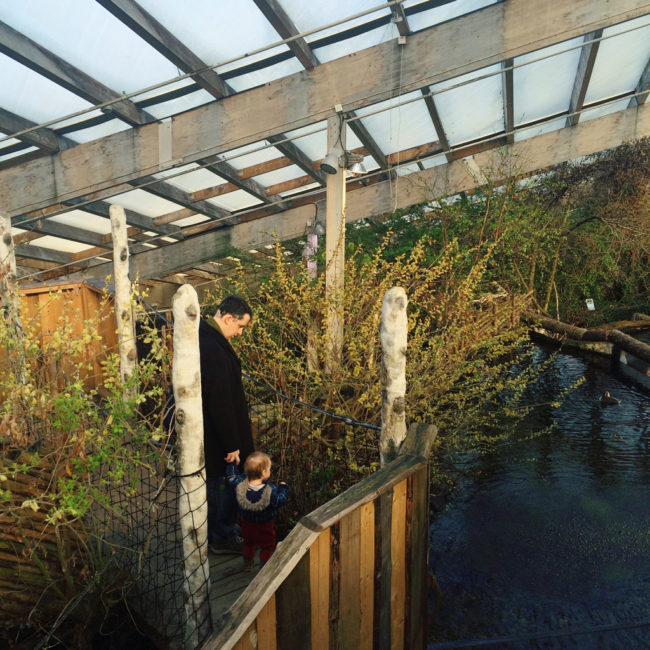 {Sweden} Hands-on Science at Gothenburg’s Universeum – The Bear & The Fox