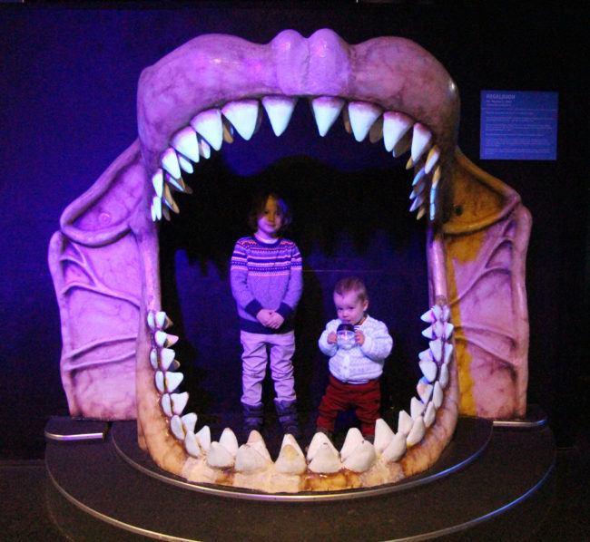 {Sweden} Hands-on Science at Gothenburg’s Universeum – The Bear & The Fox