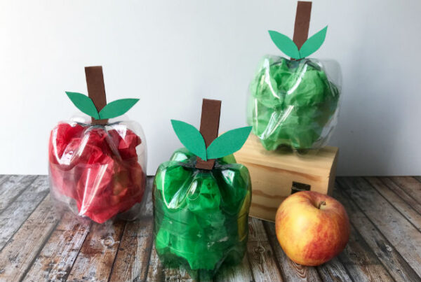 Recycled Crafts: Apple Gift Boxes – The Bear & The Fox