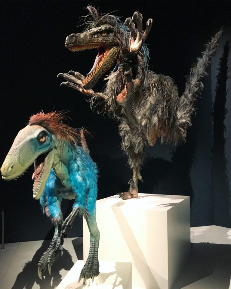 {Edinburgh} Tyrannosaurs at the National Museum of Scotland – The Bear ...