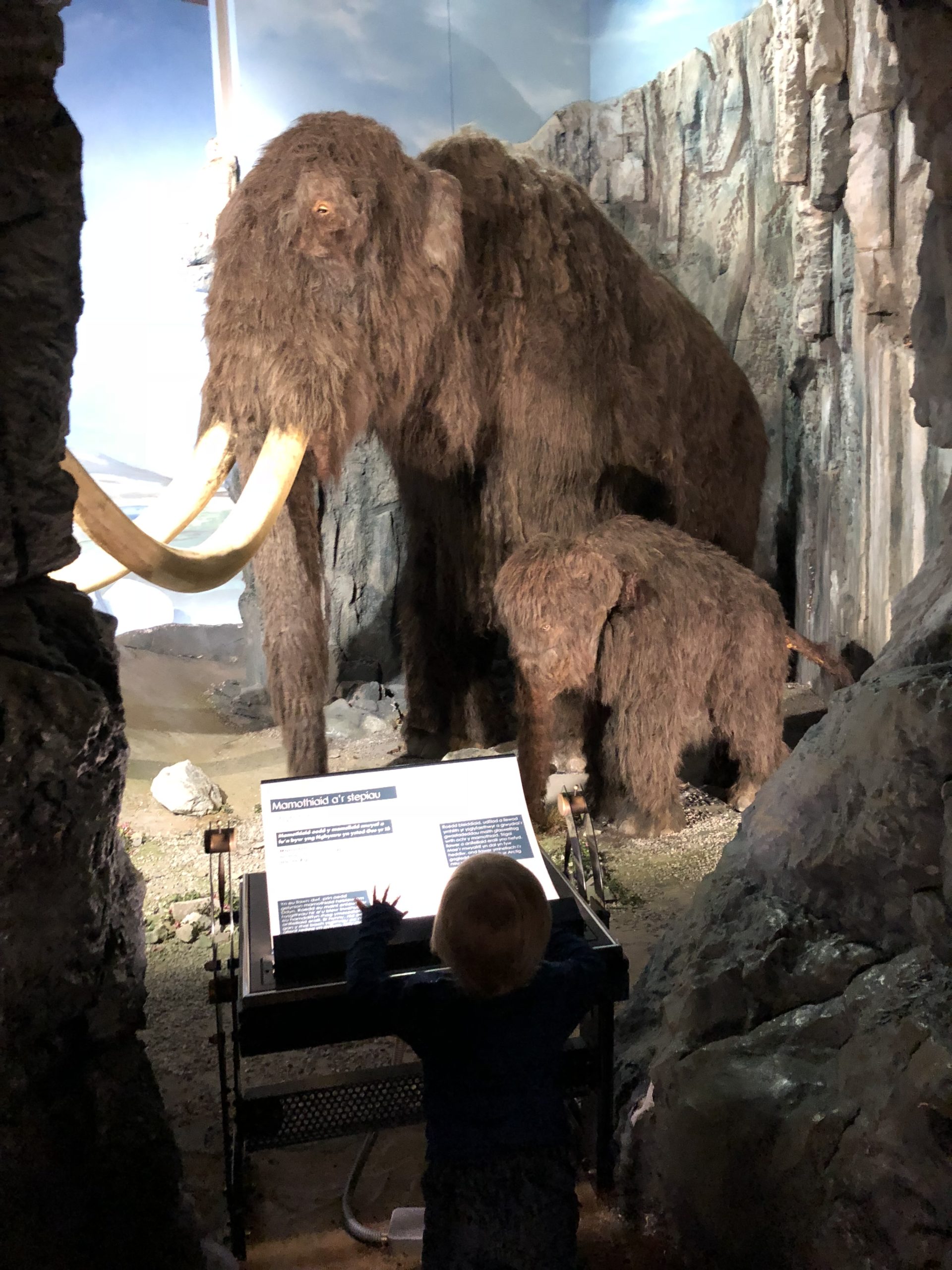 Museum Explorers – Interview #9 – The Bear & The Fox