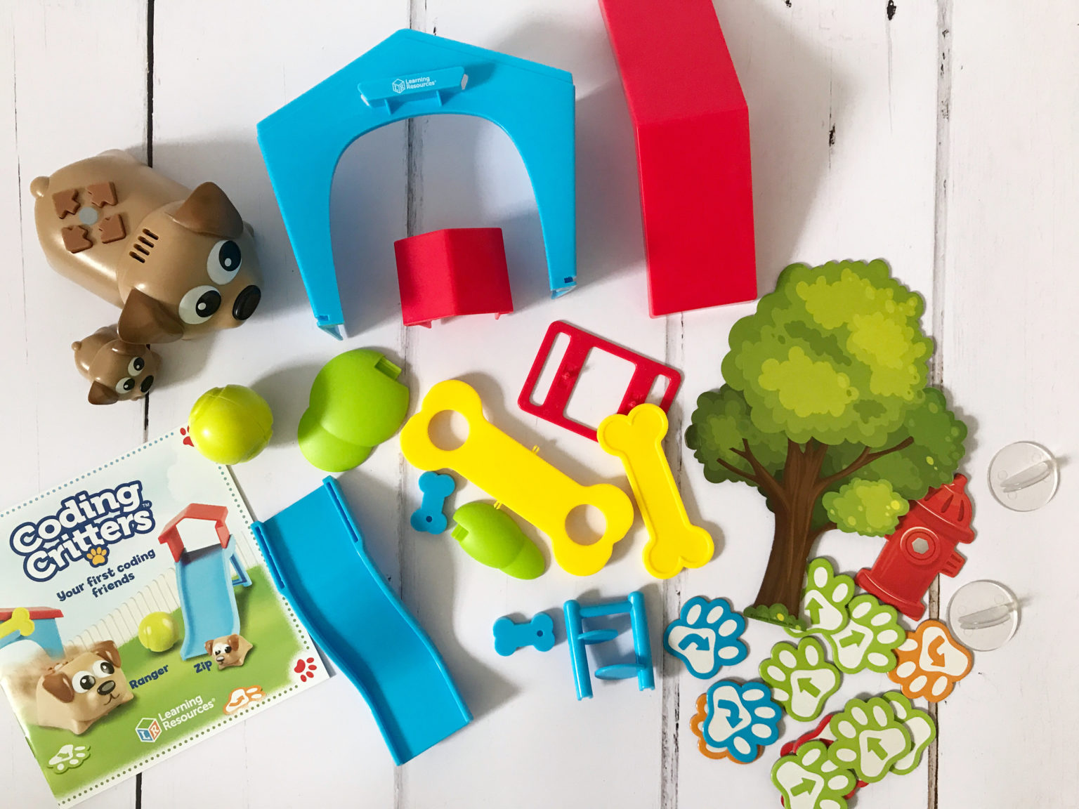 Review: Coding Critters Adventures [AD] – The Bear & The Fox