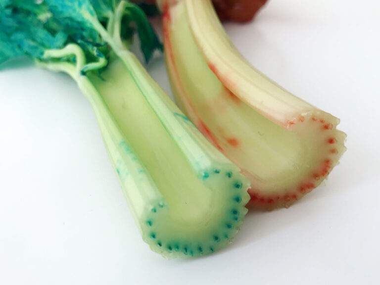 Celery Science Experiment – The Bear & The Fox