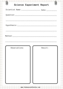 Science Experiment Report – The Bear & The Fox