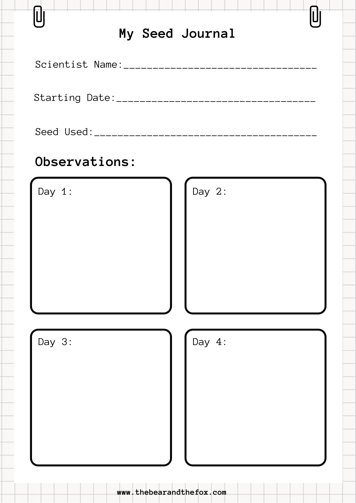 Seed Germination Experiment – The Bear & The Fox