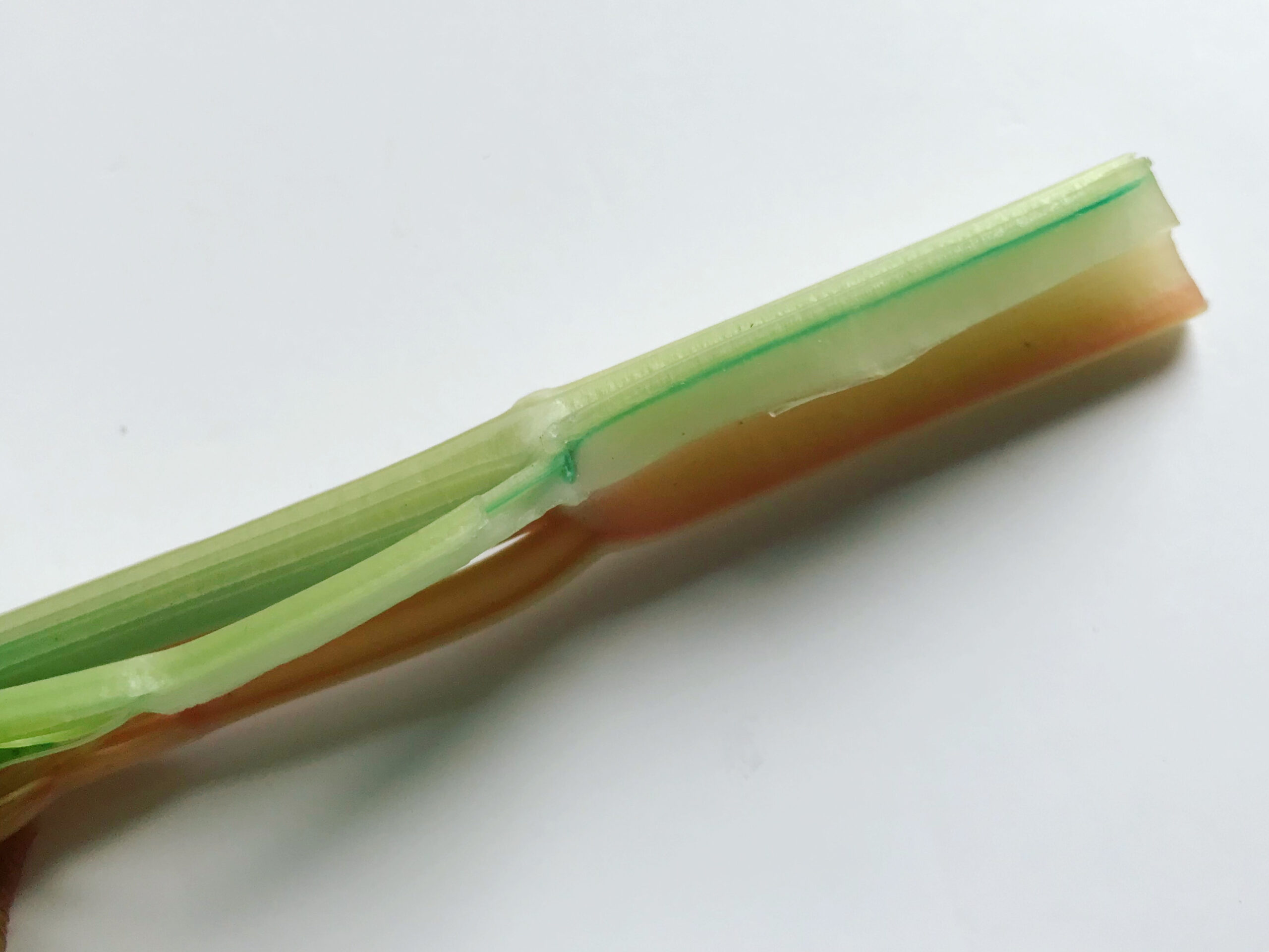 Split Celery Day 2 – Inside View – The Bear & The Fox