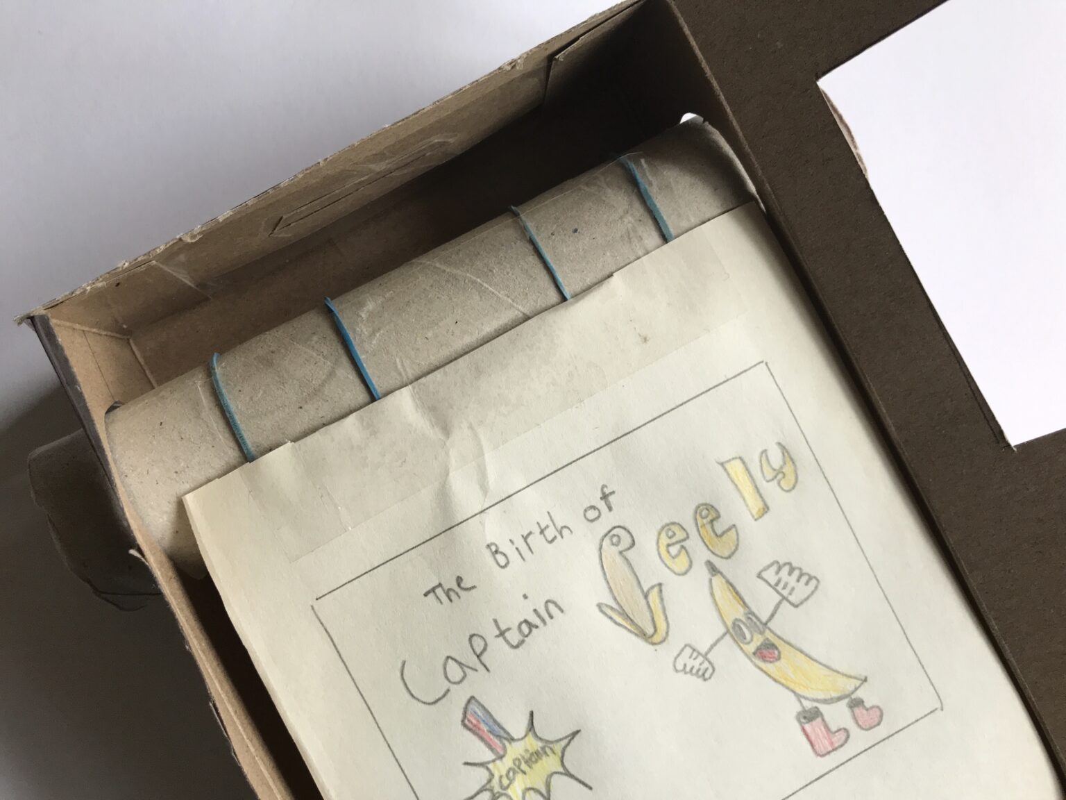 DIY Cardboard Box TV – The Bear & The Fox