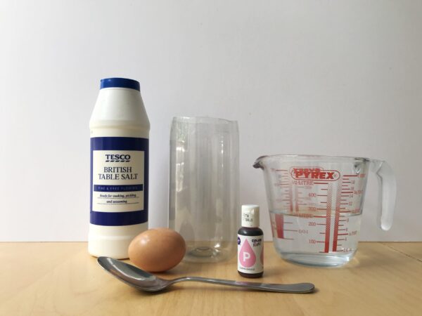 Floating Egg Experiment – The Bear & The Fox