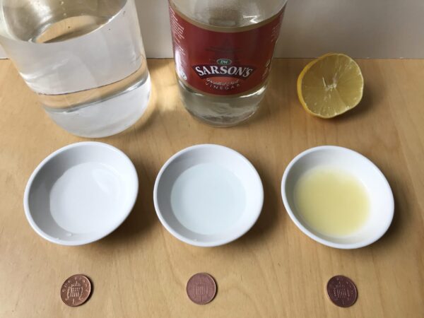 Shiny Penny Experiment – The Bear & The Fox