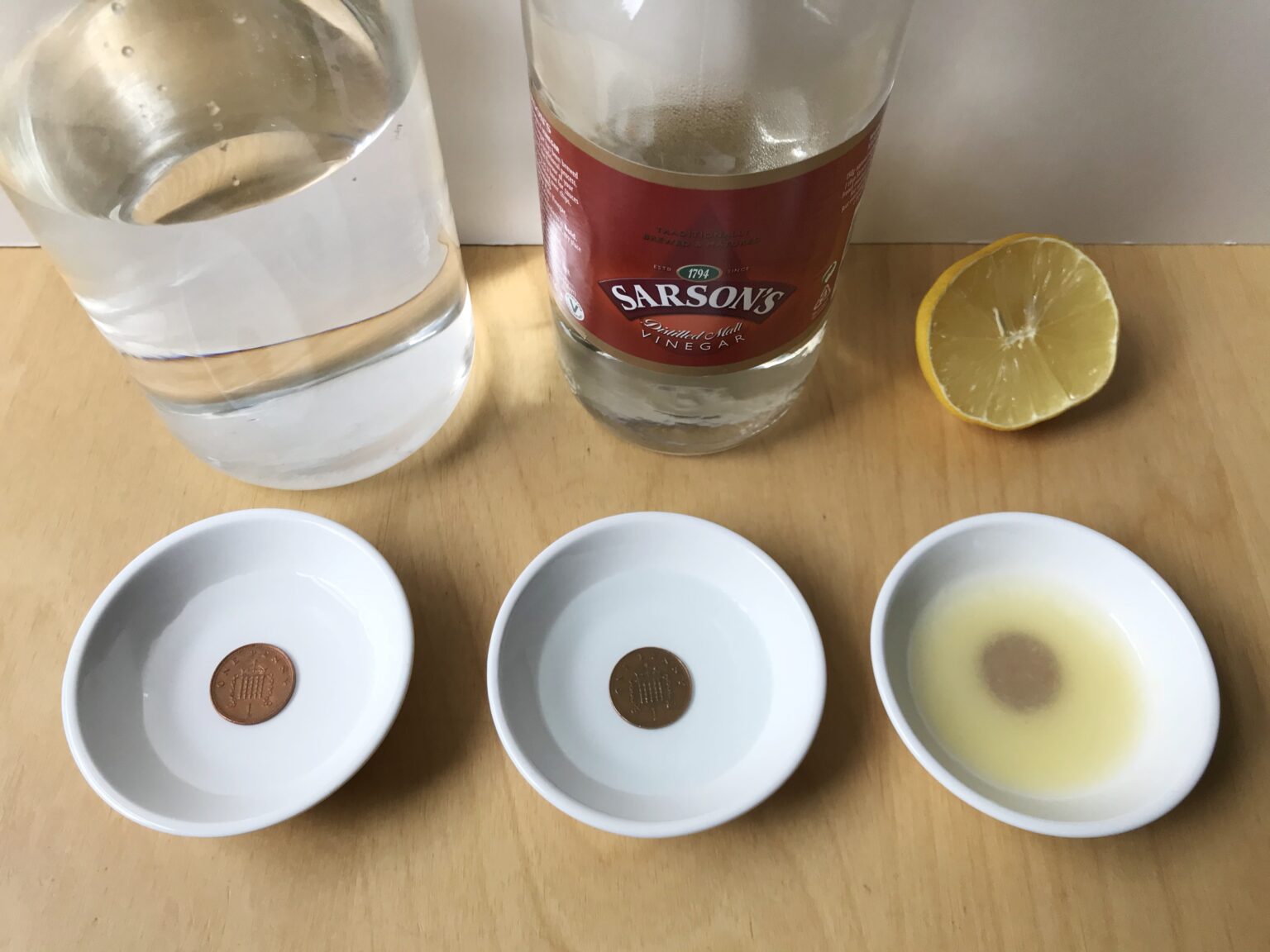 Shiny Penny Experiment – The Bear & The Fox