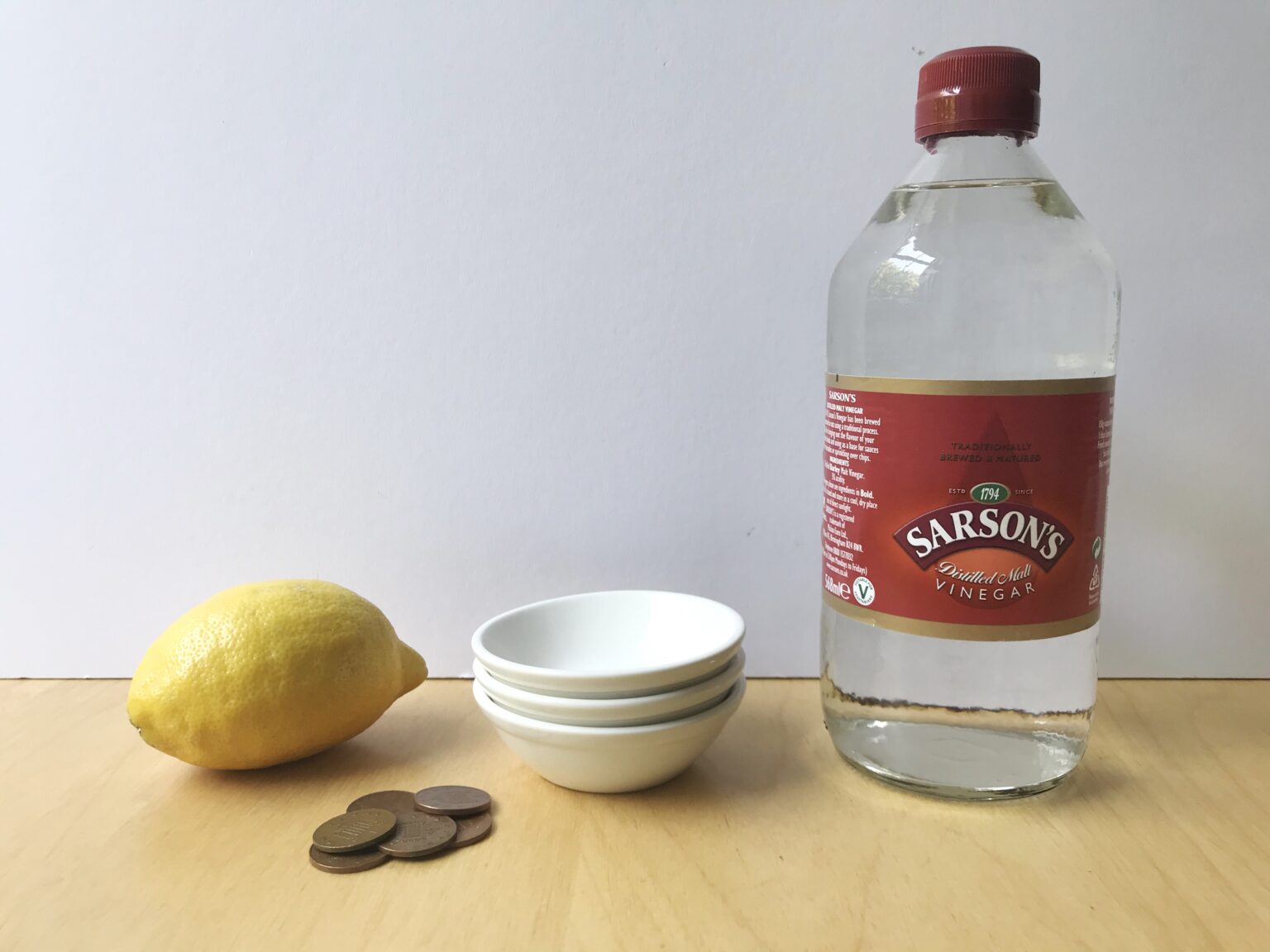 Shiny Penny Experiment – The Bear & The Fox