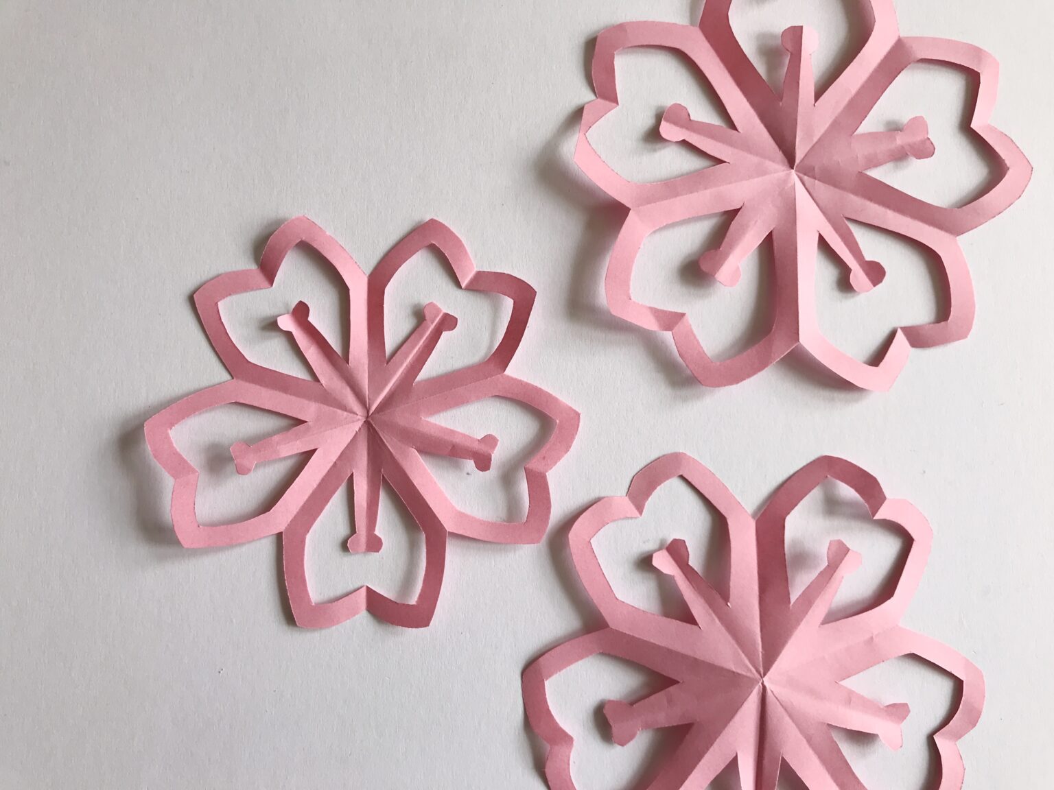 Kirigami Paper Cherry Blossoms – The Bear & The Fox