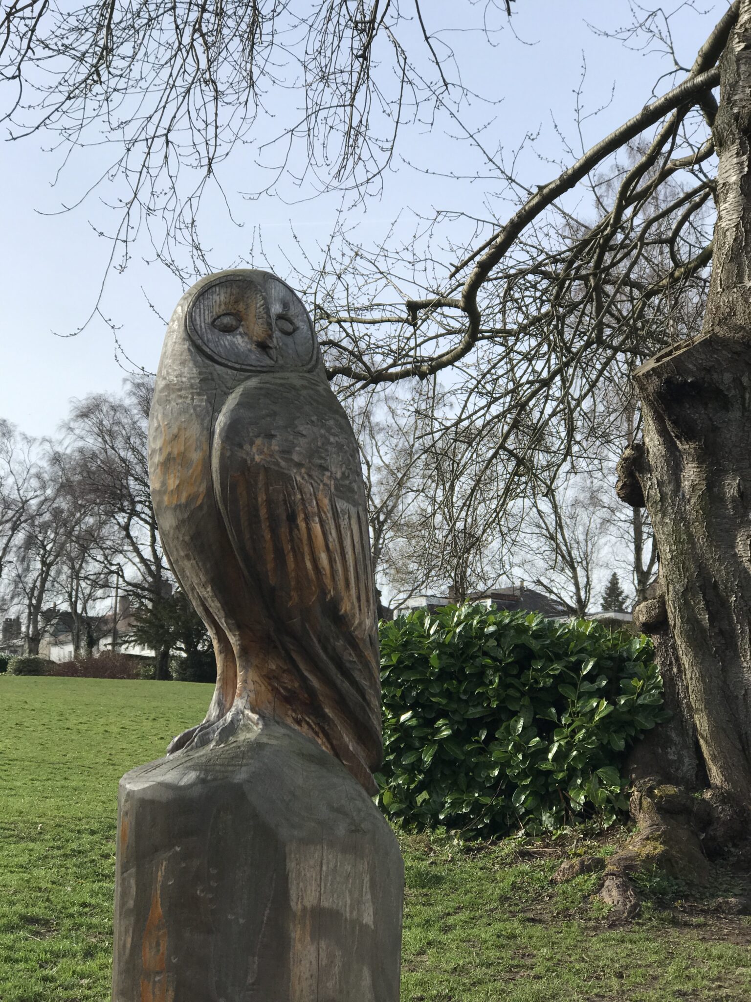 {Edinburgh} Morningside Park Playground – The Bear & The Fox