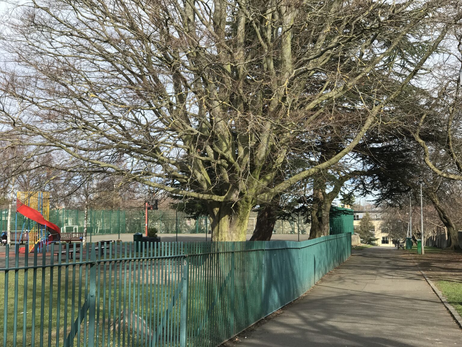 {Edinburgh} Morningside Park Playground – The Bear & The Fox