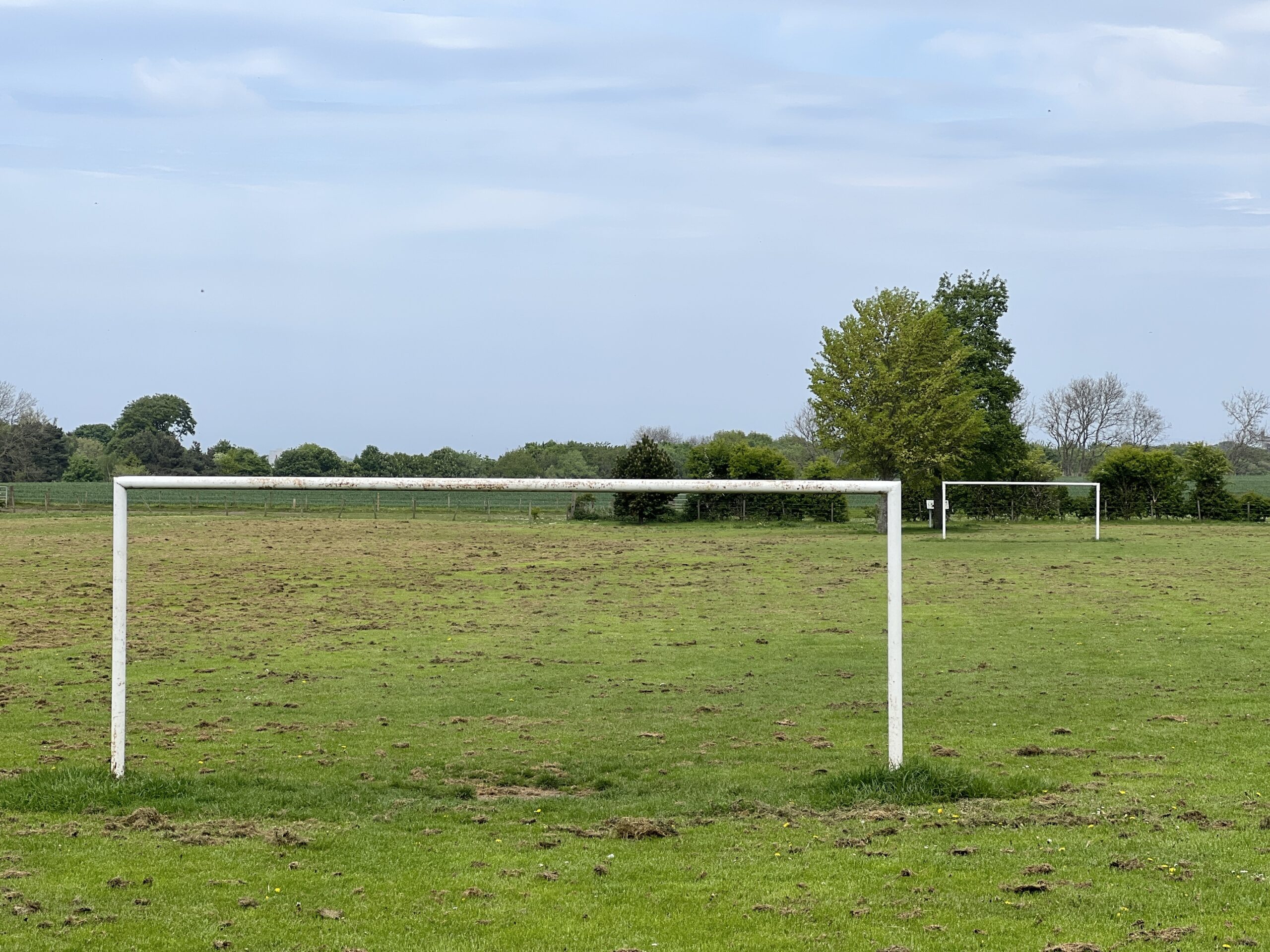 {Edinburgh} A Day Out at Seven Acre Park – The Bear & The Fox