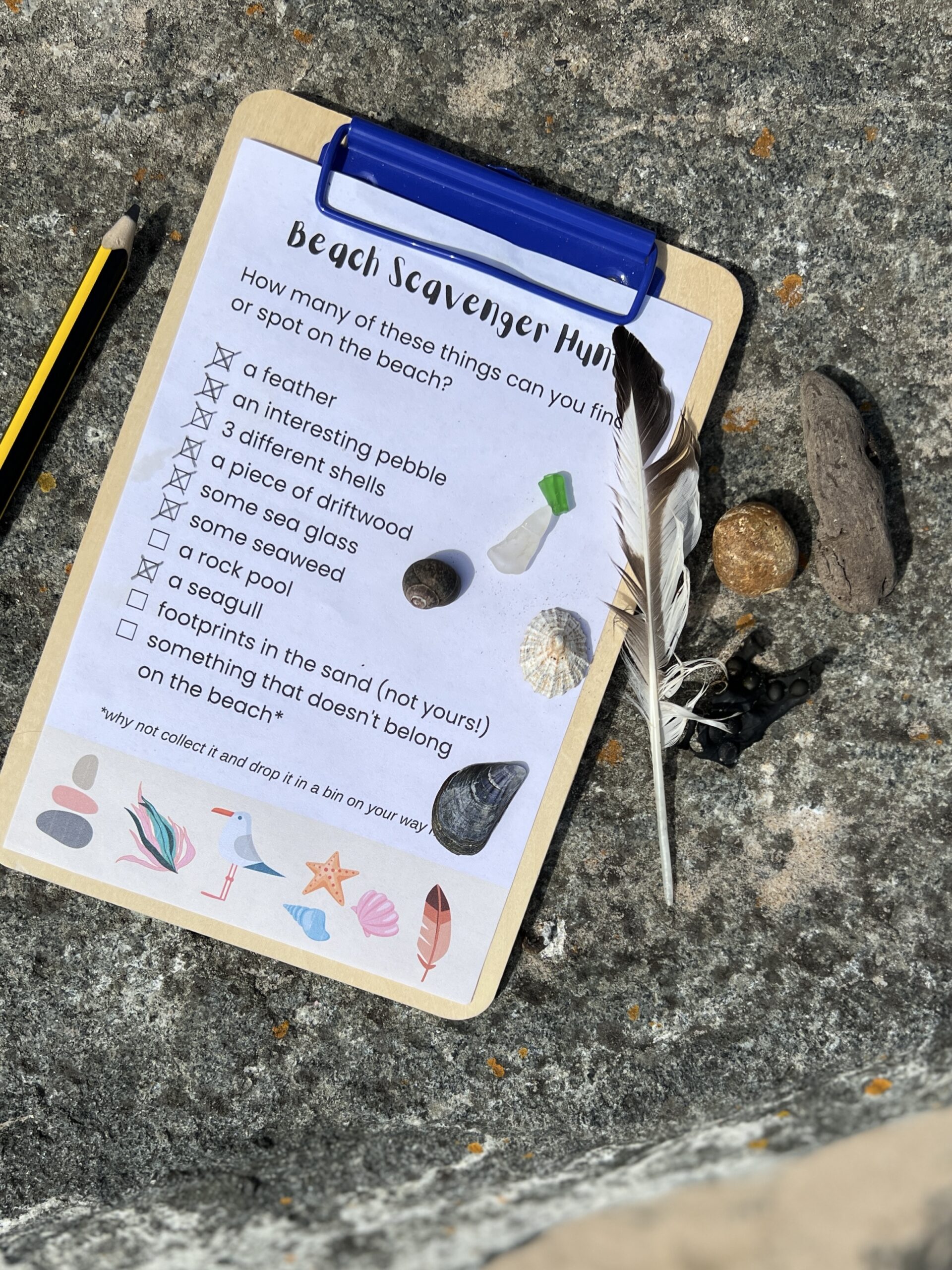 Free Printable Beach Scavenger Hunt – The Bear & The Fox