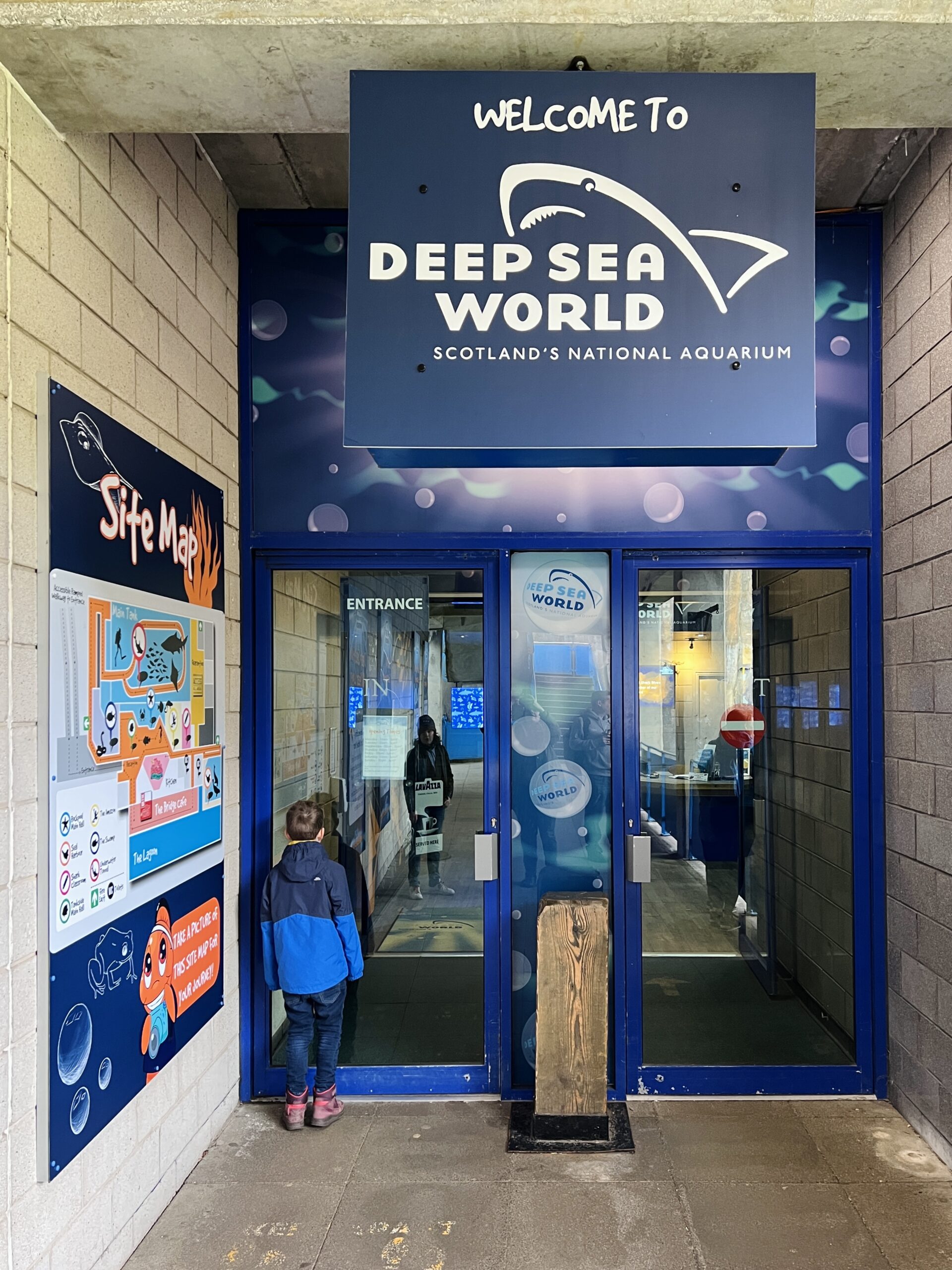 Deep Sea World – Scotland’s National Aquarium – The Bear & The Fox