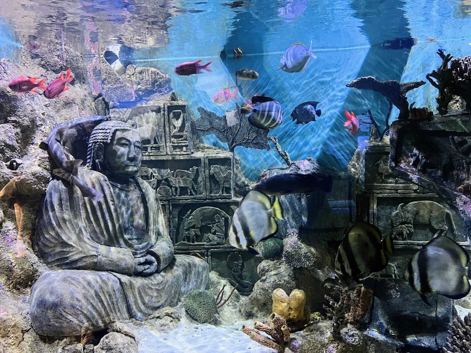 Deep Sea World – Scotland’s National Aquarium – The Bear & The Fox