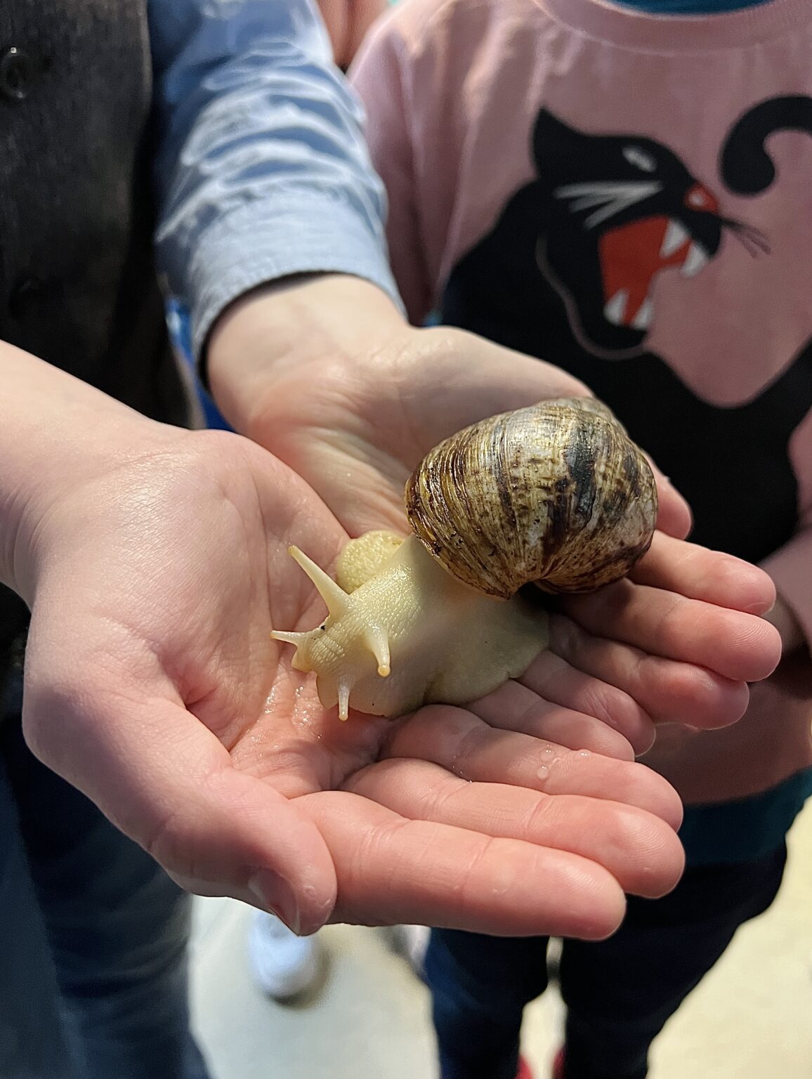 Deep Sea World – Scotland’s National Aquarium – The Bear & The Fox