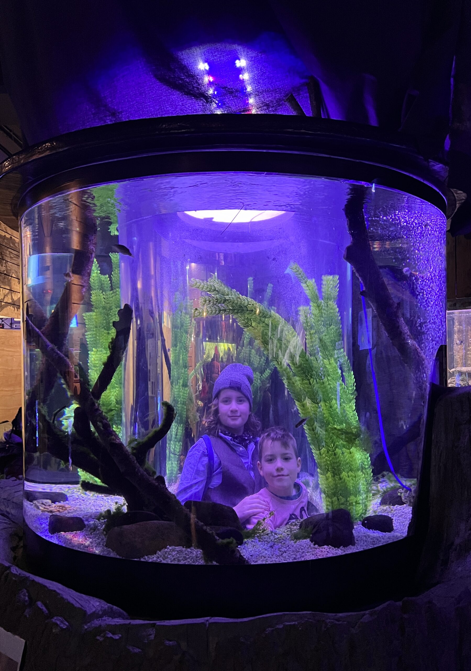 Deep Sea World – Scotland’s National Aquarium – The Bear & The Fox