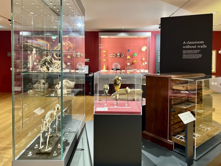 {Scotland} The Wardlaw Museum with Kids – The Bear & The Fox