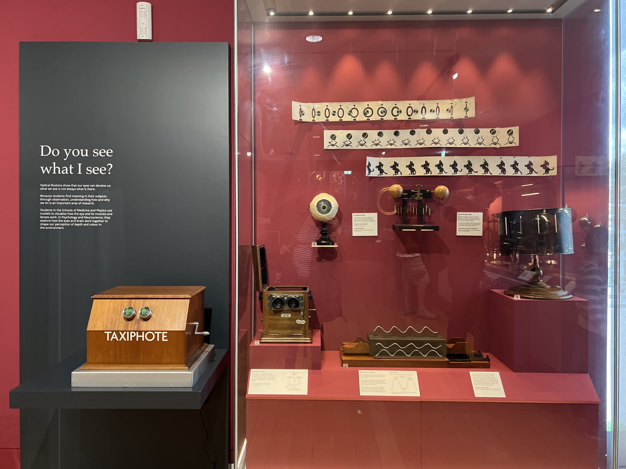 {Scotland} The Wardlaw Museum with Kids – The Bear & The Fox