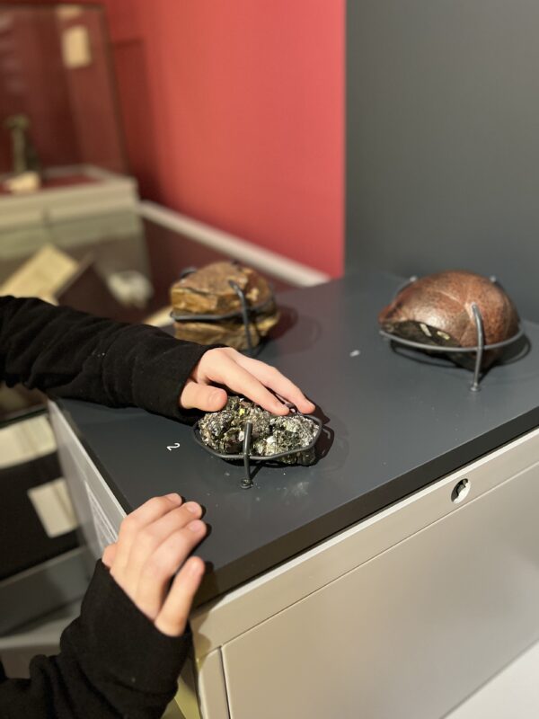 {Scotland} The Wardlaw Museum with Kids – The Bear & The Fox