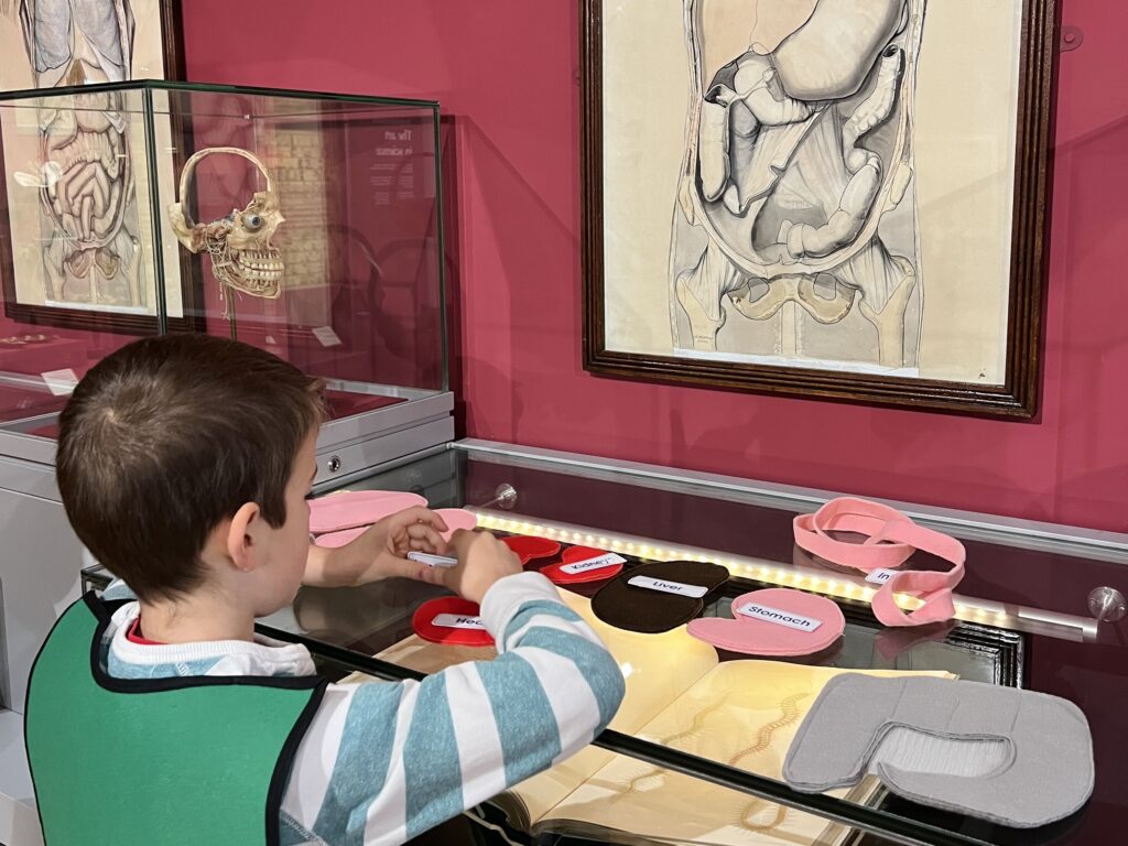 50 Great Museum Themed Books for Kids – The Bear & The Fox