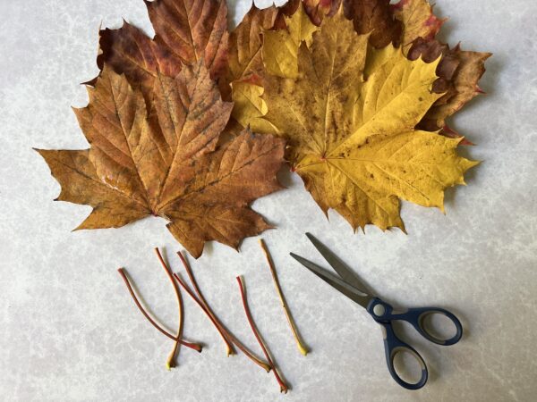 How to make an Autumn leaf crown – The Bear & The Fox
