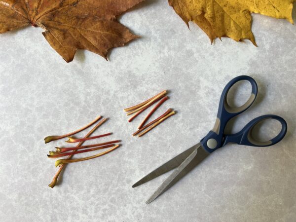 How to make an Autumn leaf crown – The Bear & The Fox