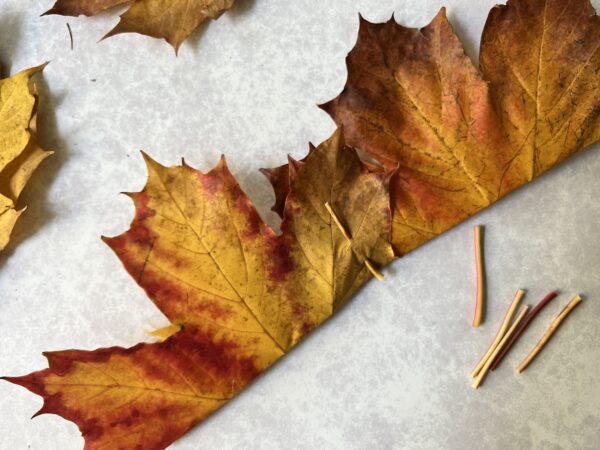 How to make an Autumn leaf crown – The Bear & The Fox