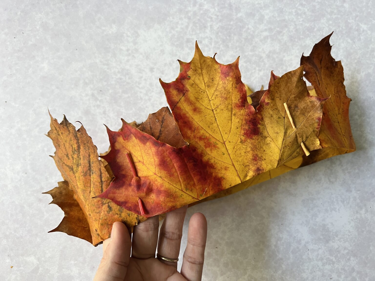 How to make an Autumn leaf crown – The Bear & The Fox