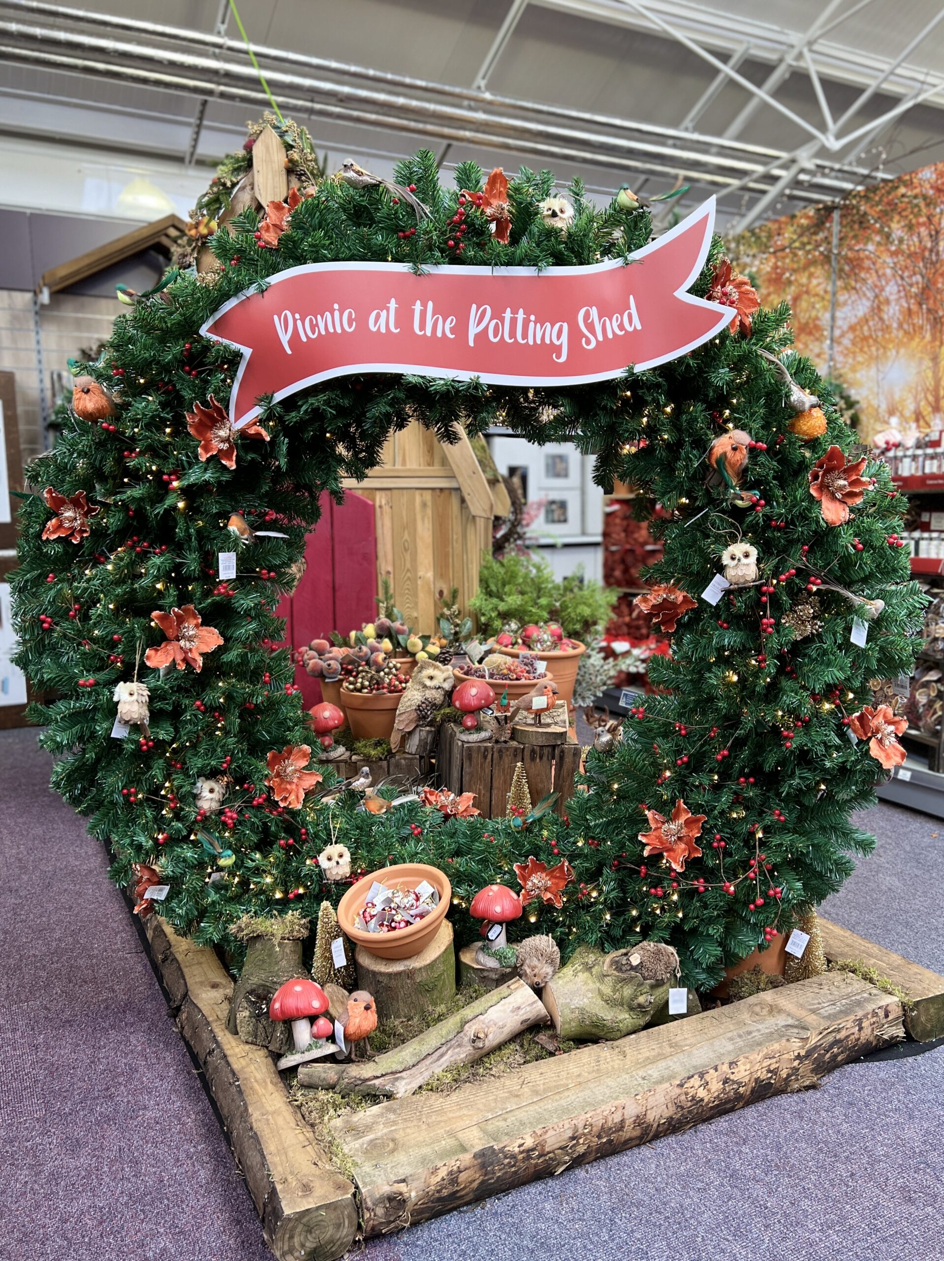 {Edinburgh} Christmas Fun at Mortonhall Garden Centre – The Bear & The Fox