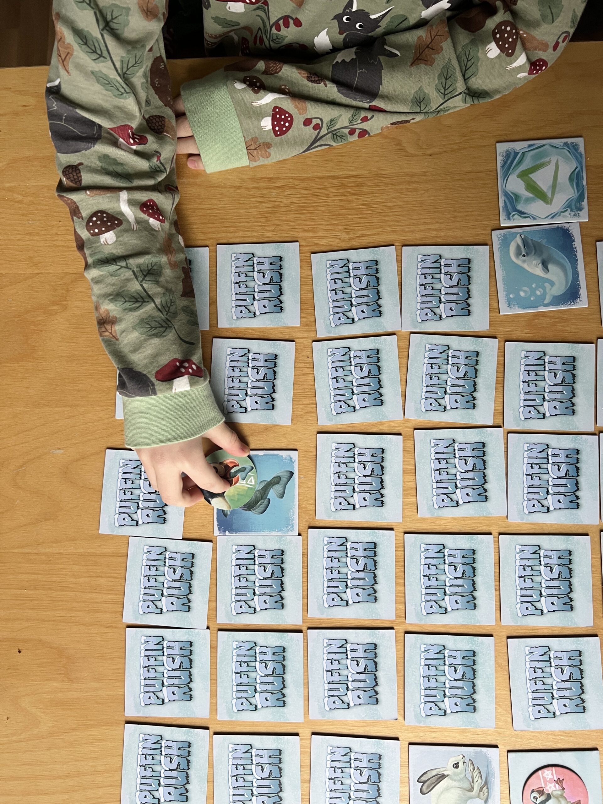 Review: Puffin Rush Card Game – The Bear & The Fox