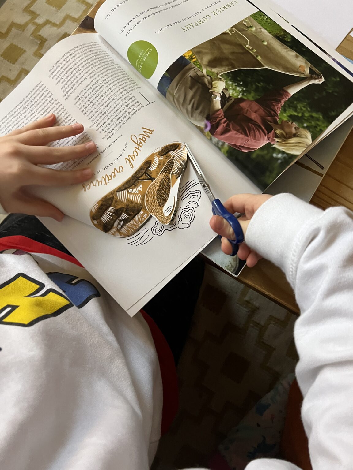 Magazine Scavenger Hunt – The Bear & The Fox