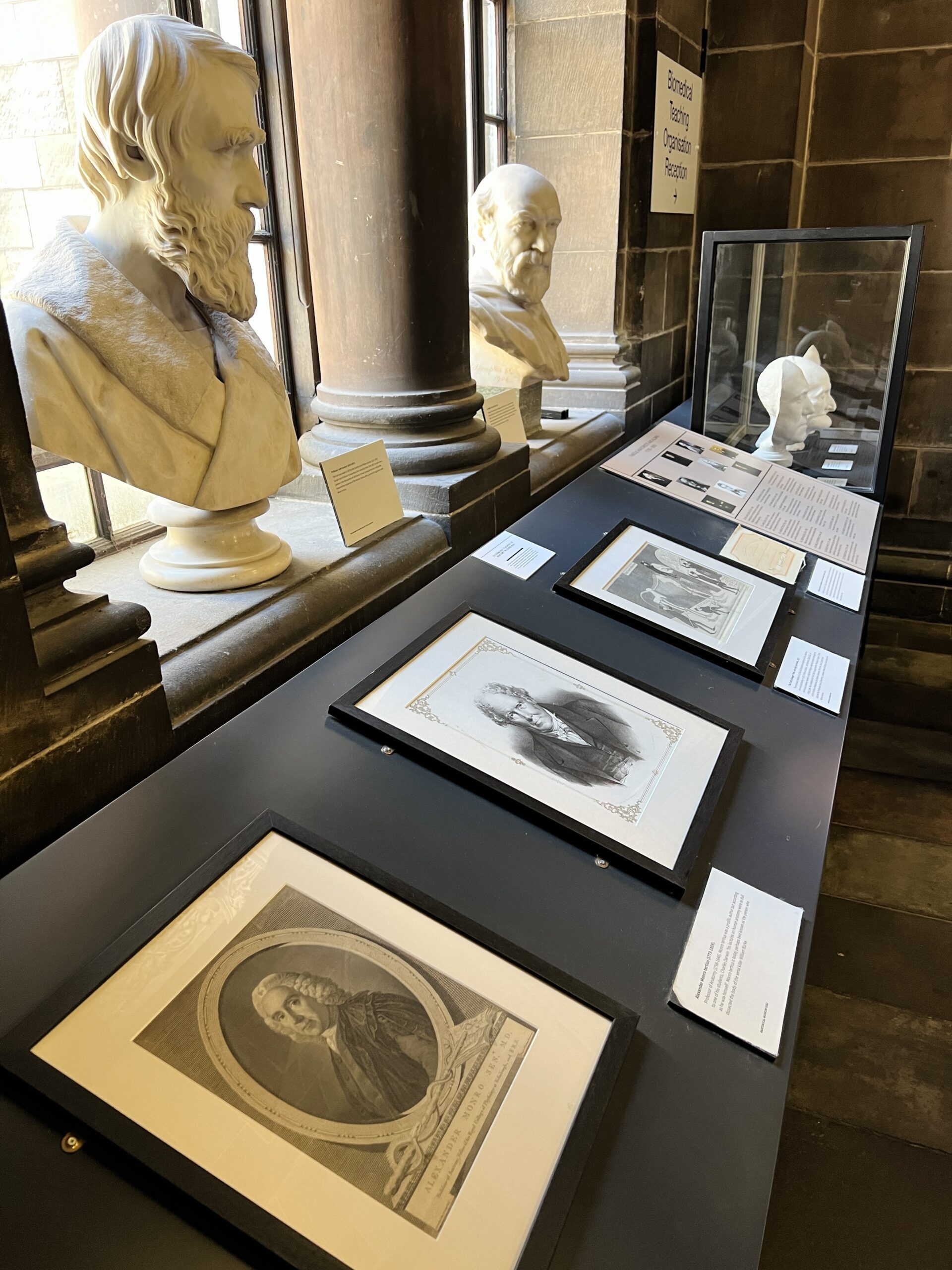 {Edinburgh} The Anatomical Museum with Kids – The Bear & The Fox