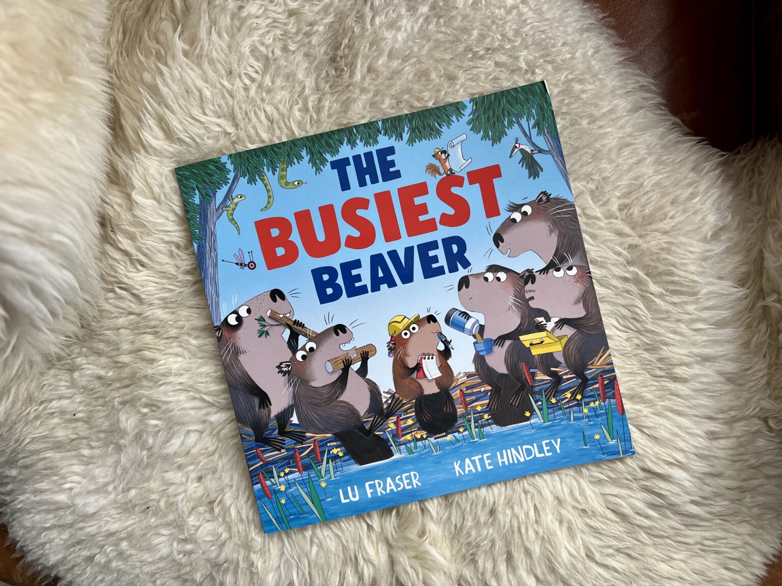 Review: The Busiest Beaver – The Bear & The Fox