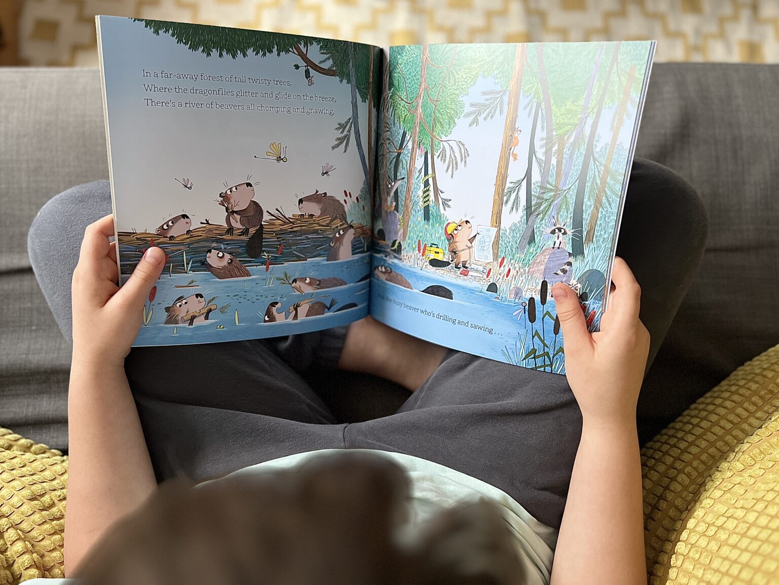 Review: The Busiest Beaver – The Bear & The Fox